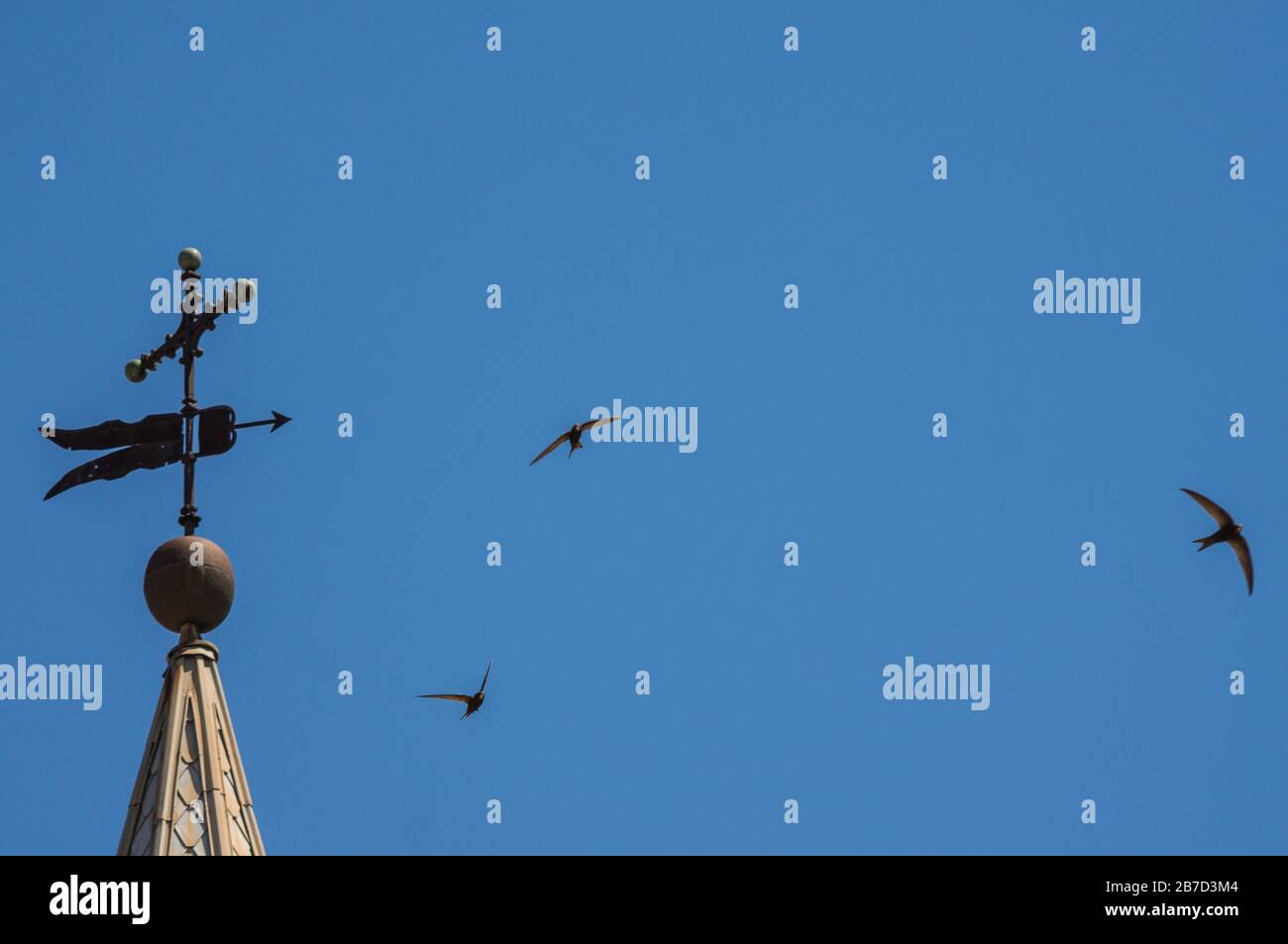 Religion concept. Weather vane with christian cross and swallows flying ...