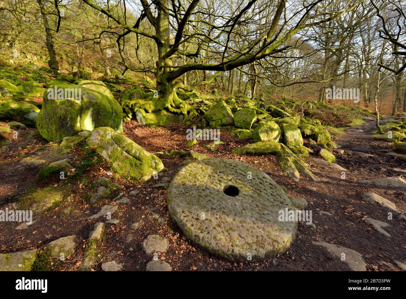 Millstone,Enchanted forest,Padley gorge,Peak district national park ...