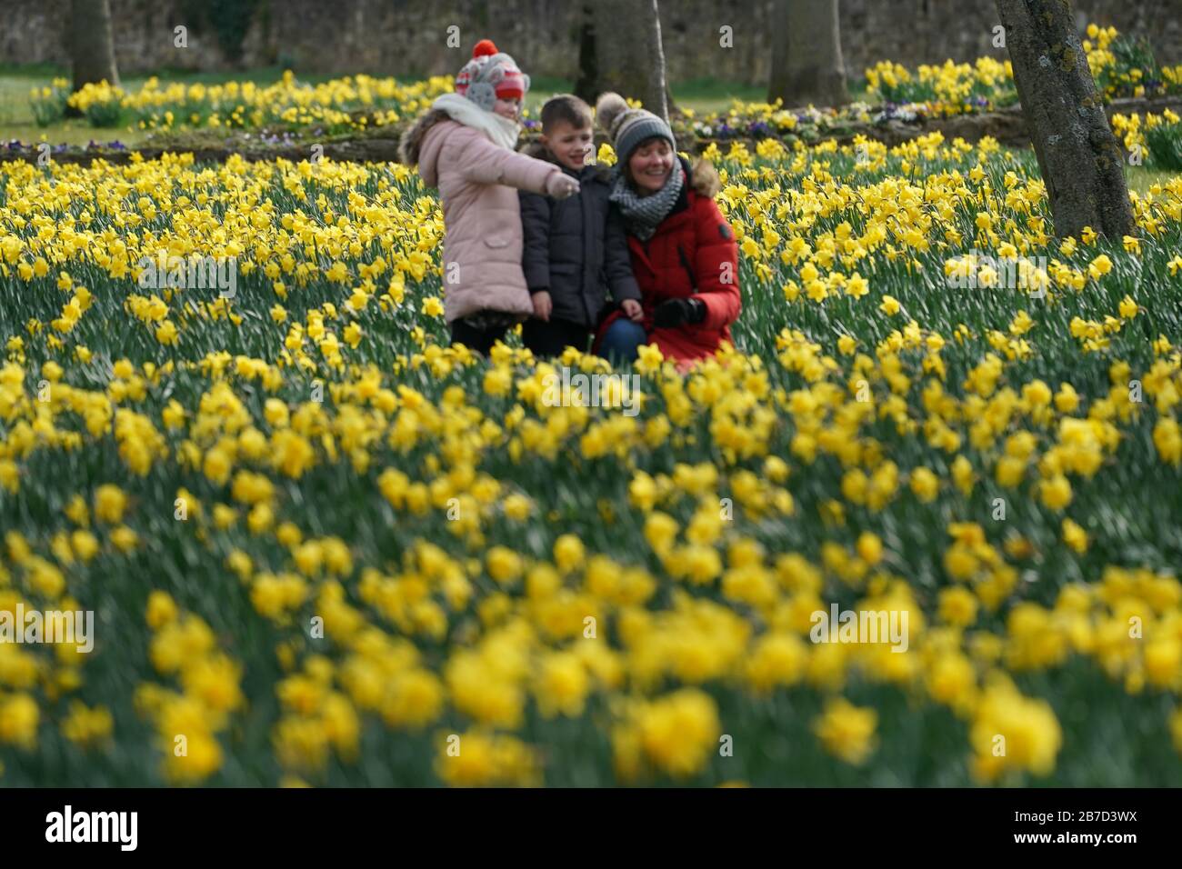 Renee Talbot, 8, Ray Talbot, 5, and their mother Gayle Leach admire the ...