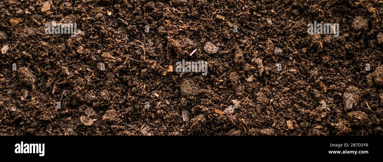 Earth ground texture as background, nature and environmental backdrop ...