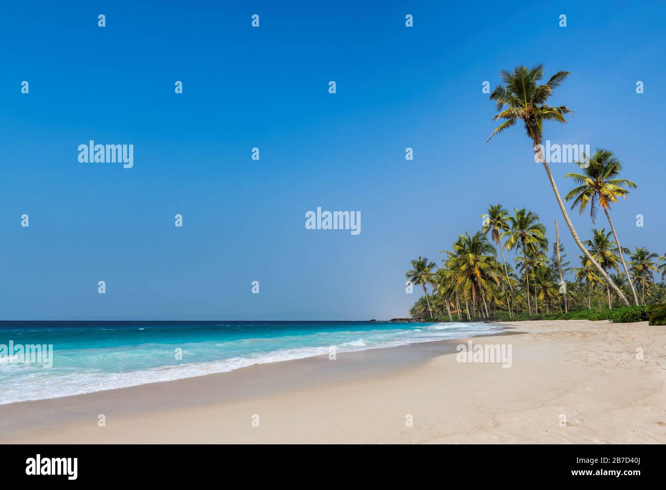 Exotic tropical beach with coconut palm trees and blue ocean under blue ...