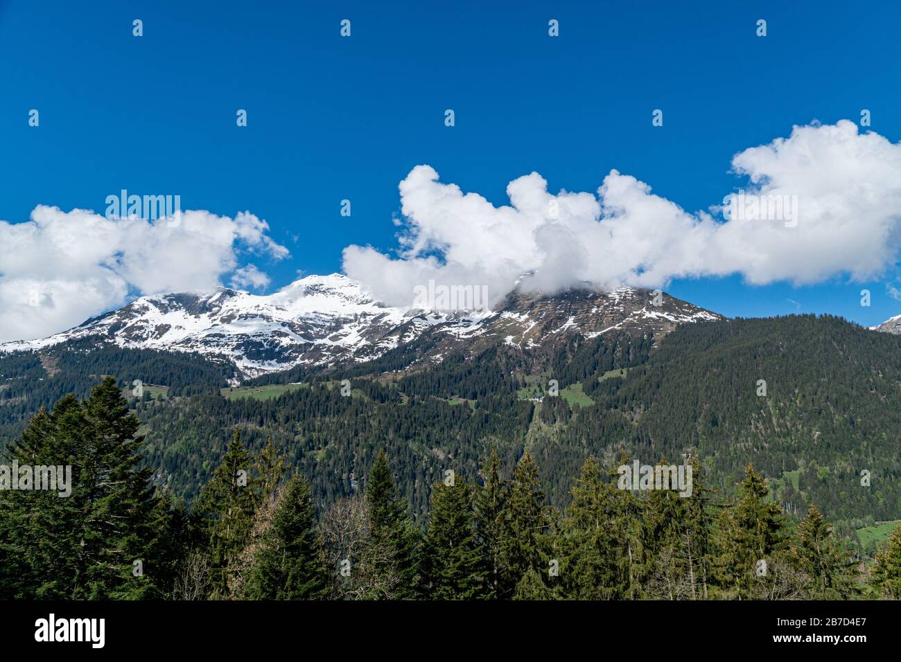 Panoramic view on winter snowy mountains at nice sunny evening. Swiis ...