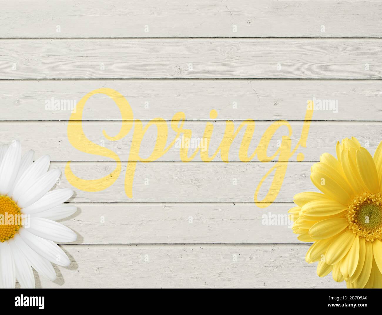 Lettering on wood. daisy flower. spring Stock Photo - Alamy