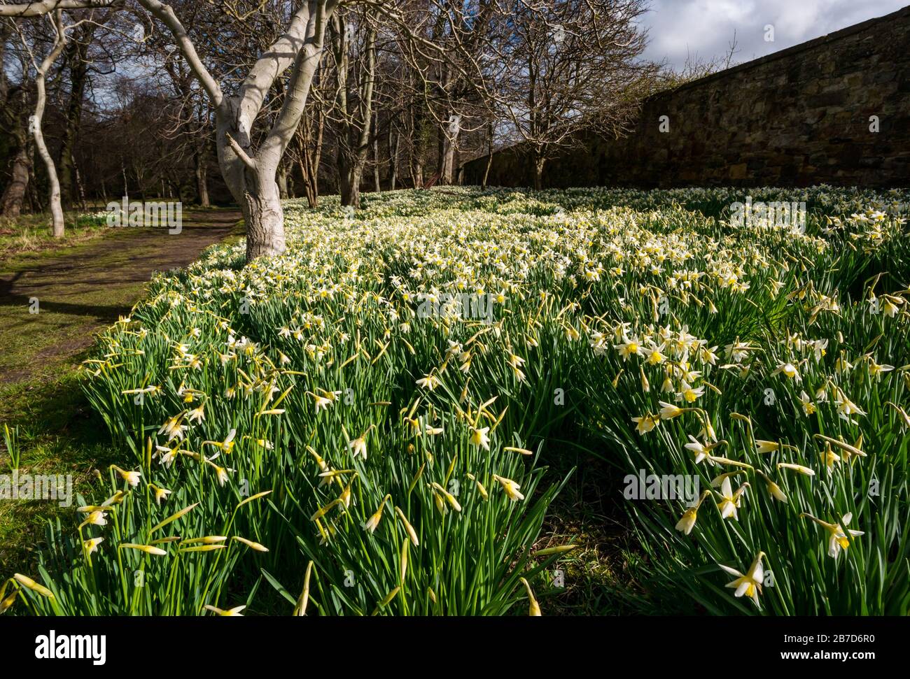 Spring weather march 15th hi-res stock photography and images - Alamy