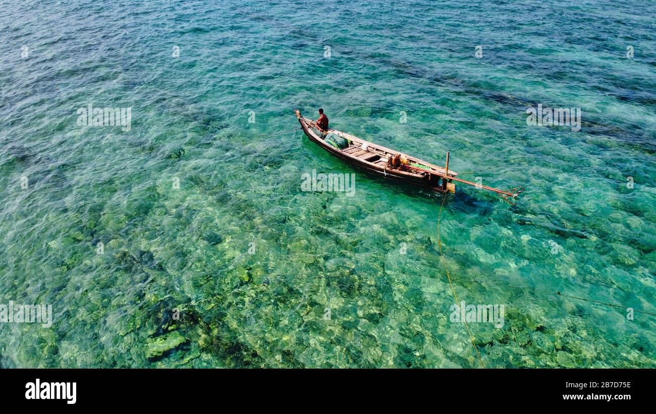 Freshwater fish of myanmar hi-res stock photography and images - Alamy
