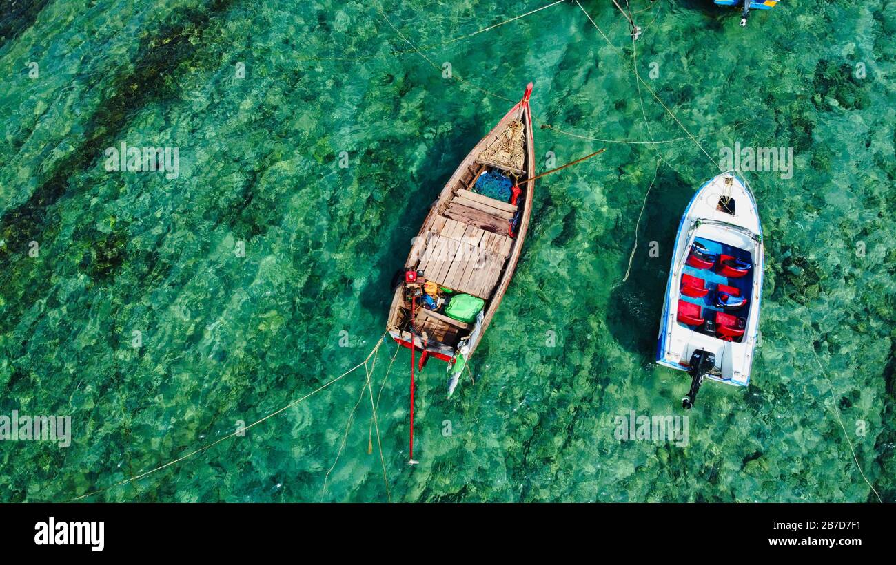 Freshwater fish of myanmar hi-res stock photography and images - Alamy