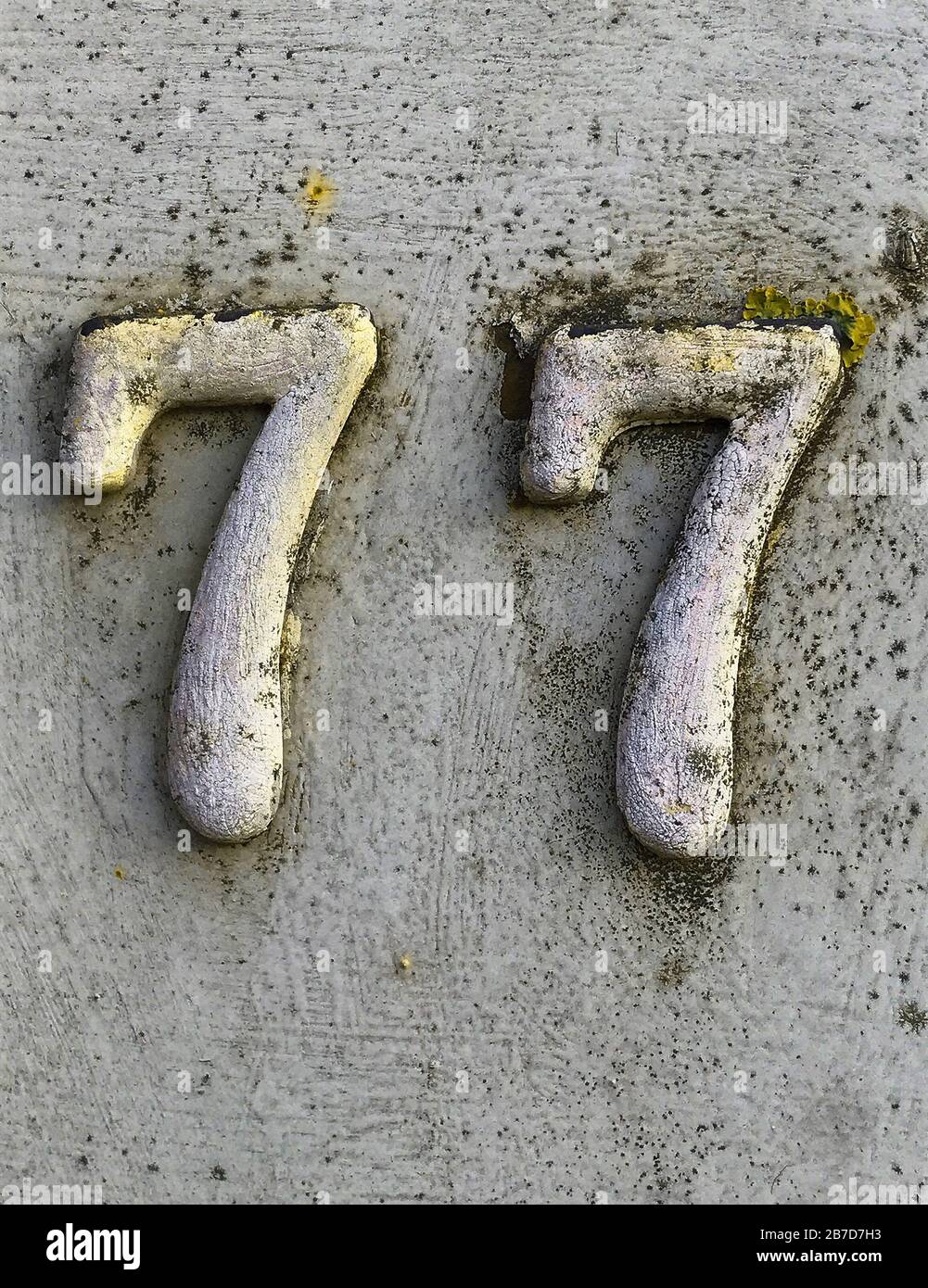 the house number 7 7 Stock Photo - Alamy