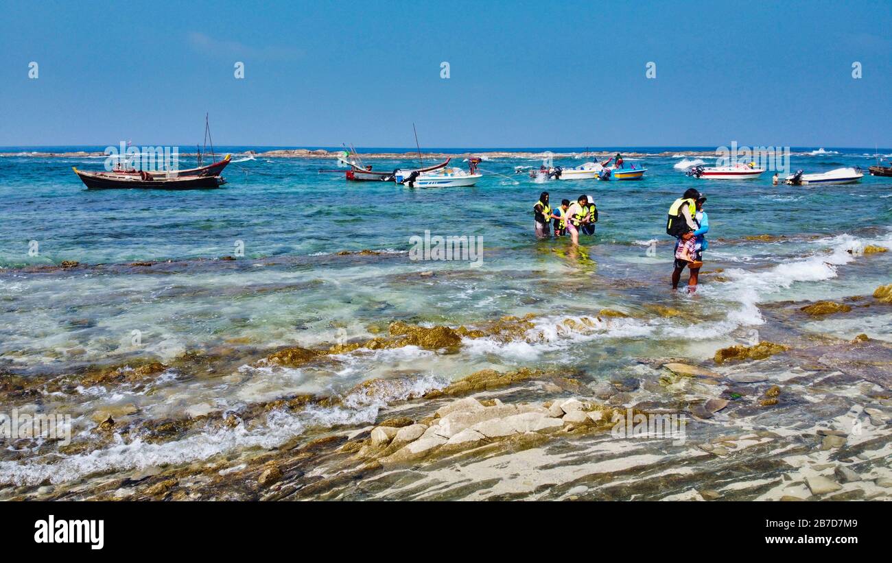 Freshwater fish of myanmar hi-res stock photography and images - Alamy