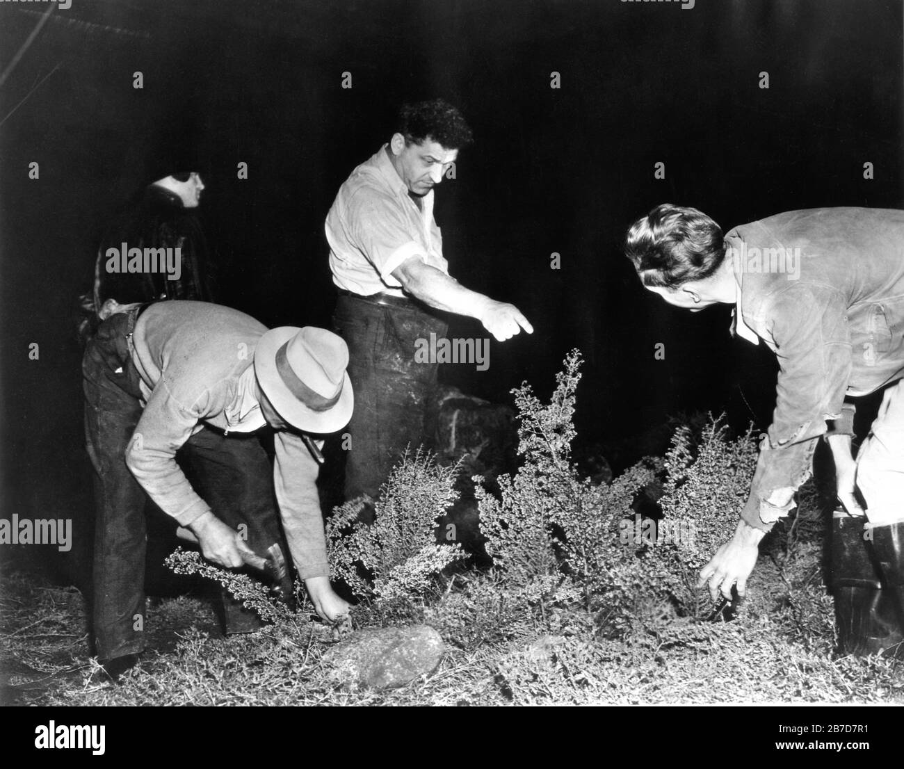 Film Crew fixing Yorkshire Heather in the Conejo Hills location in ...