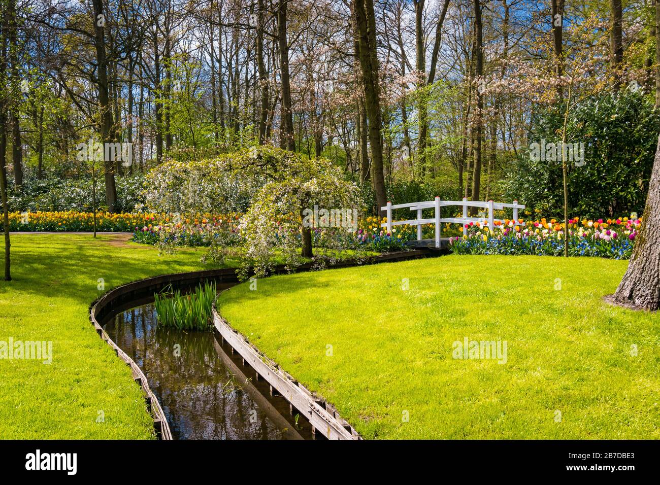 flowers garden or field in spring. Springtime Garden Stock Photo - Alamy