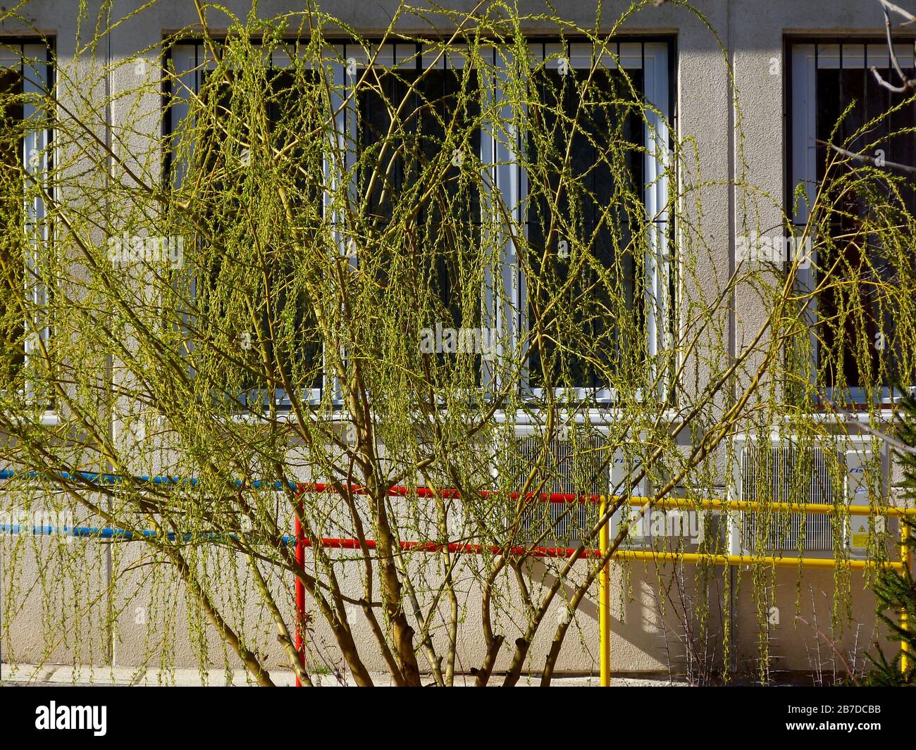 Modern willow pattern hi-res stock photography and images - Alamy