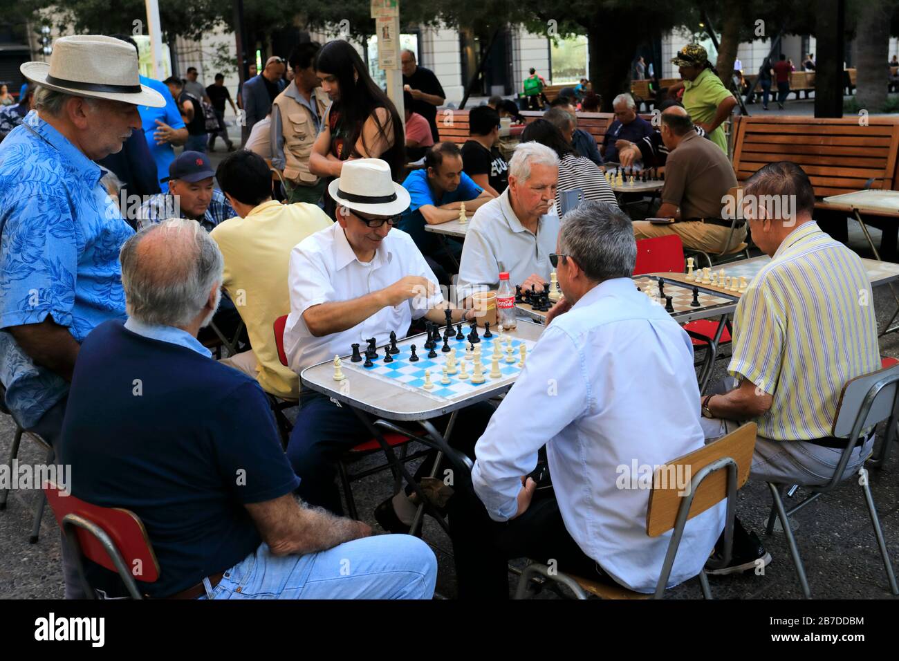 People playing Chess in Plaza de Armas, Metropolitan Region, Santiago ...