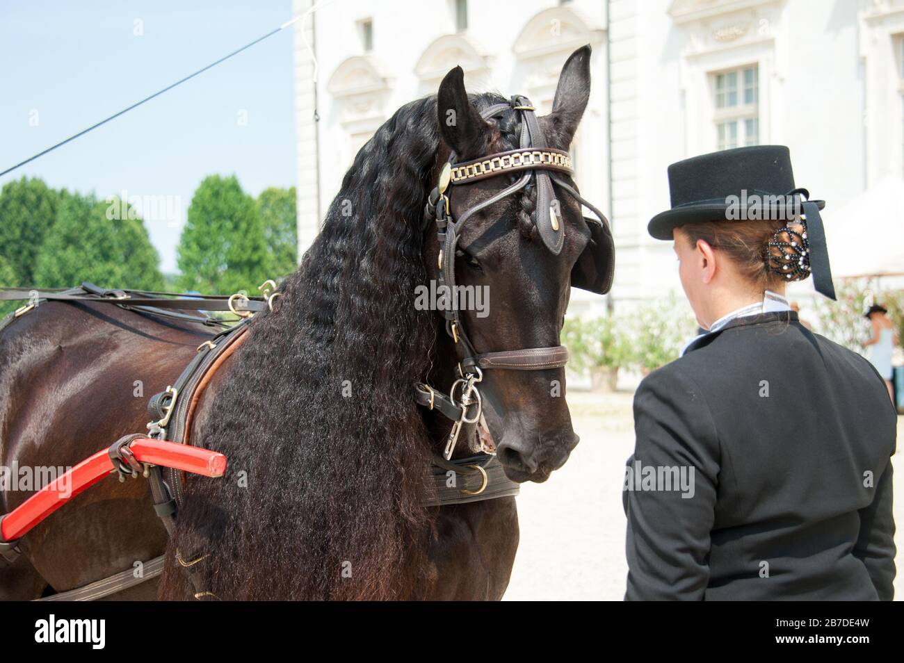 Traditional carriage attacks hi-res stock photography and images - Alamy
