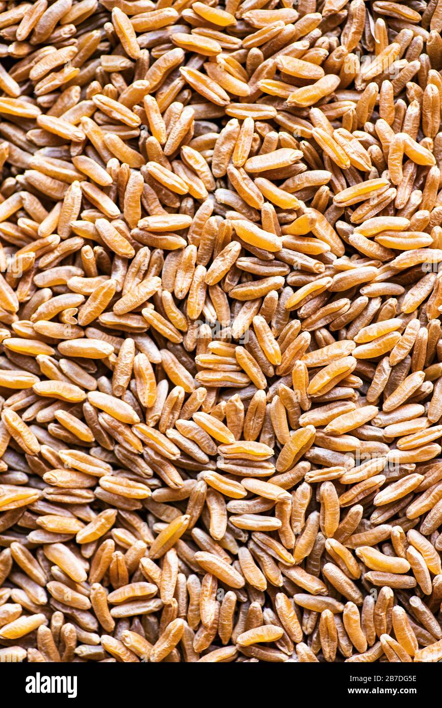Ancient grains hi-res stock photography and images - Alamy