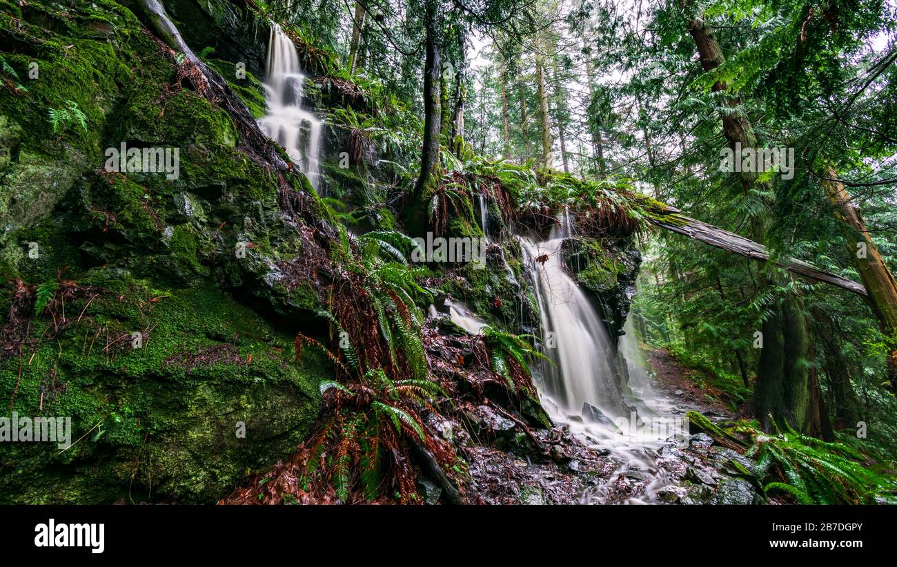 Water floods into trail during heavy rainstorm creating beautiful ...
