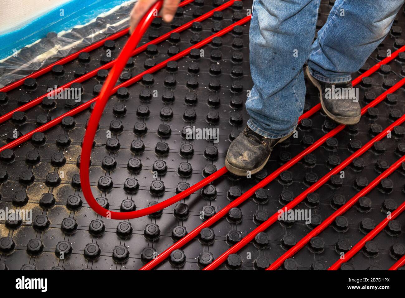 Worker who instal red tubes of radiant underfloor heating installation ...