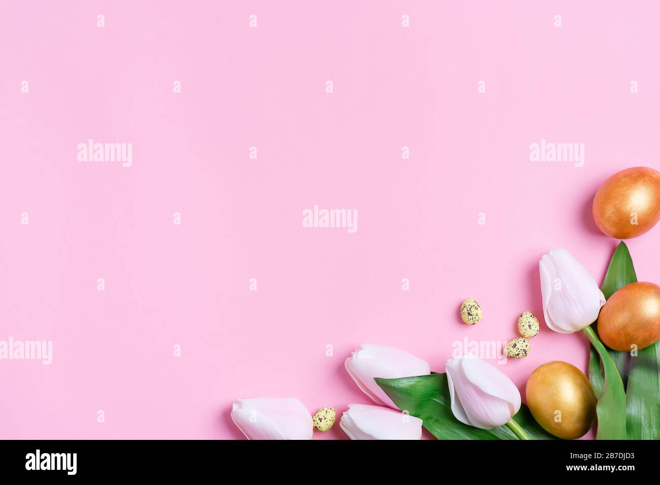 Corner border flower easter egg hi-res stock photography and images - Alamy