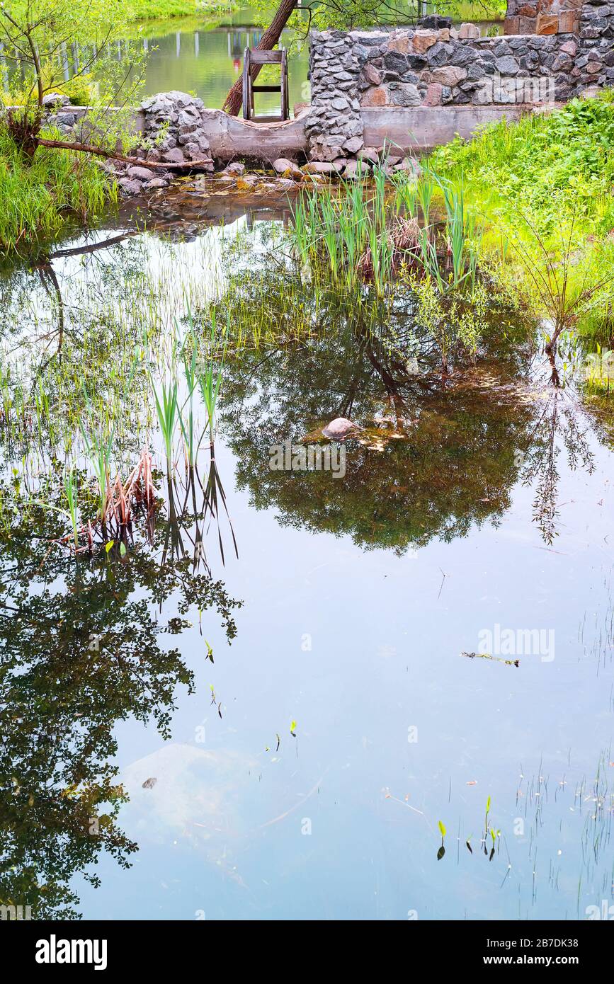 Narrow river with clearly reflections of trees and bushes on a smooth ...