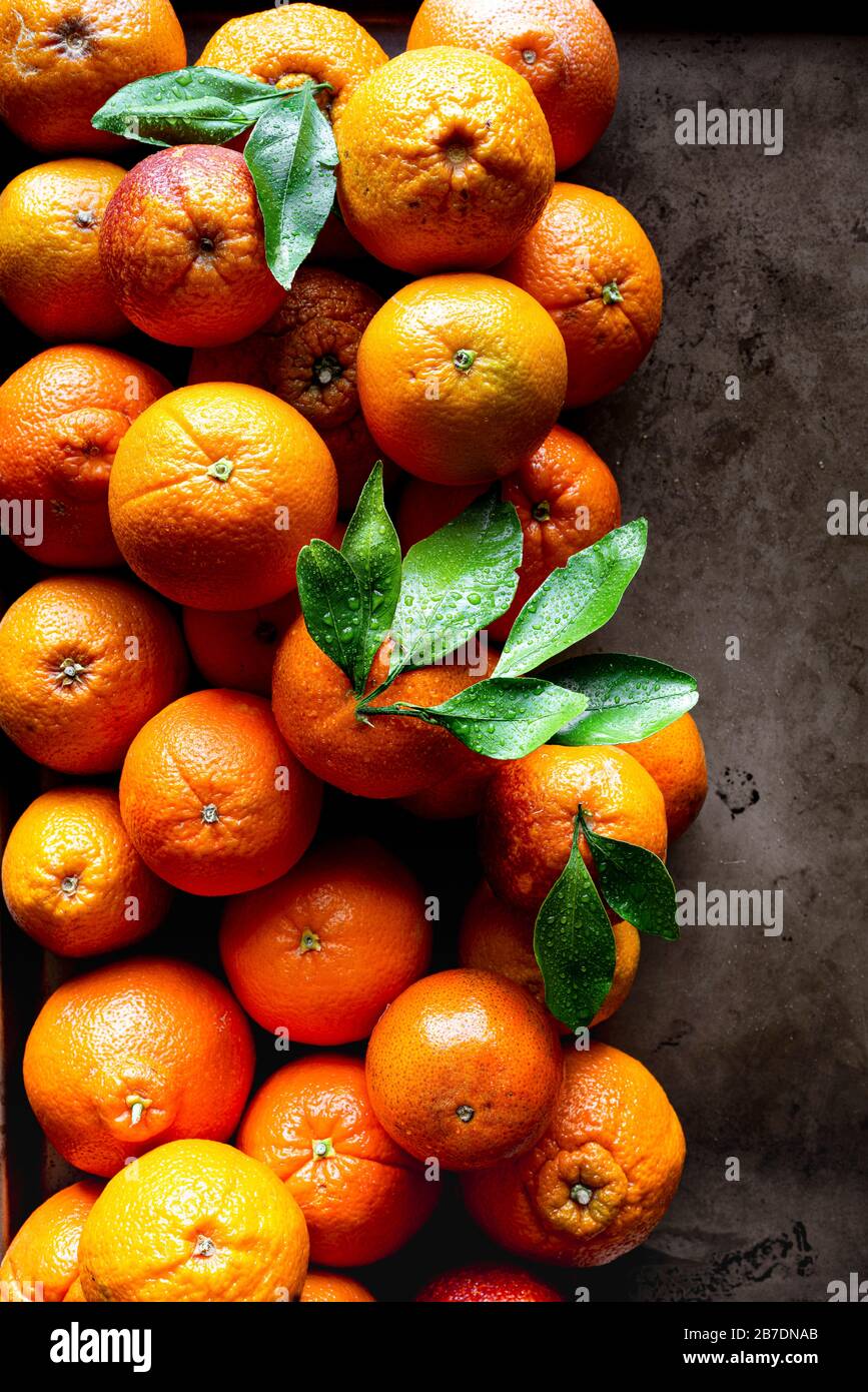 Citrus Fruits Wallpaper Stock Photo - Alamy