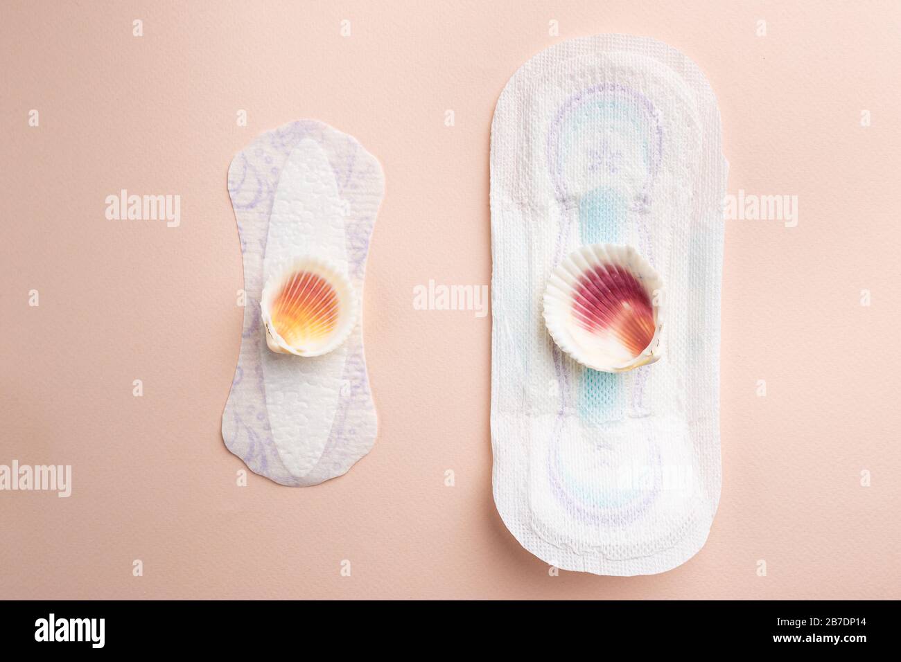 White sanitary pad with shells, women's health or body positive concept ...