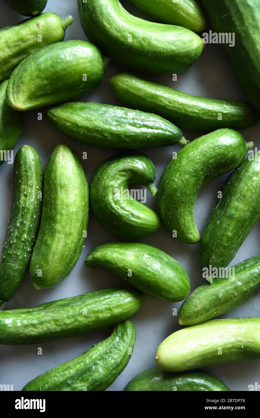 A group of mini cucumbers on a white background Stock Photo - Alamy