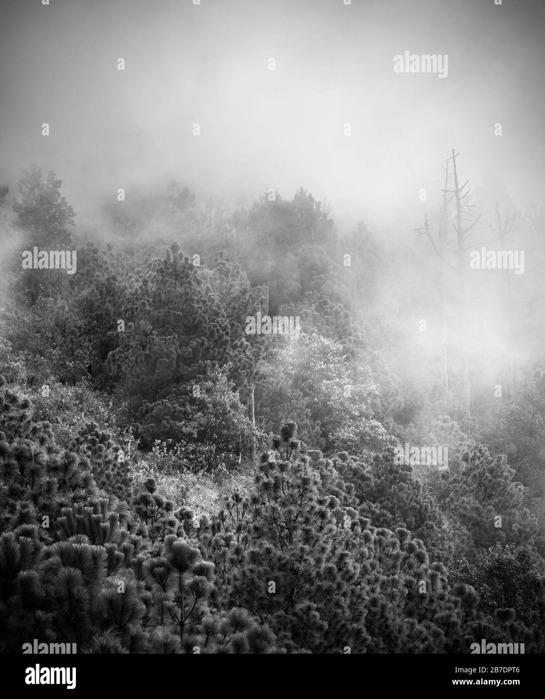 Volcan de america central Black and White Stock Photos & Images - Alamy