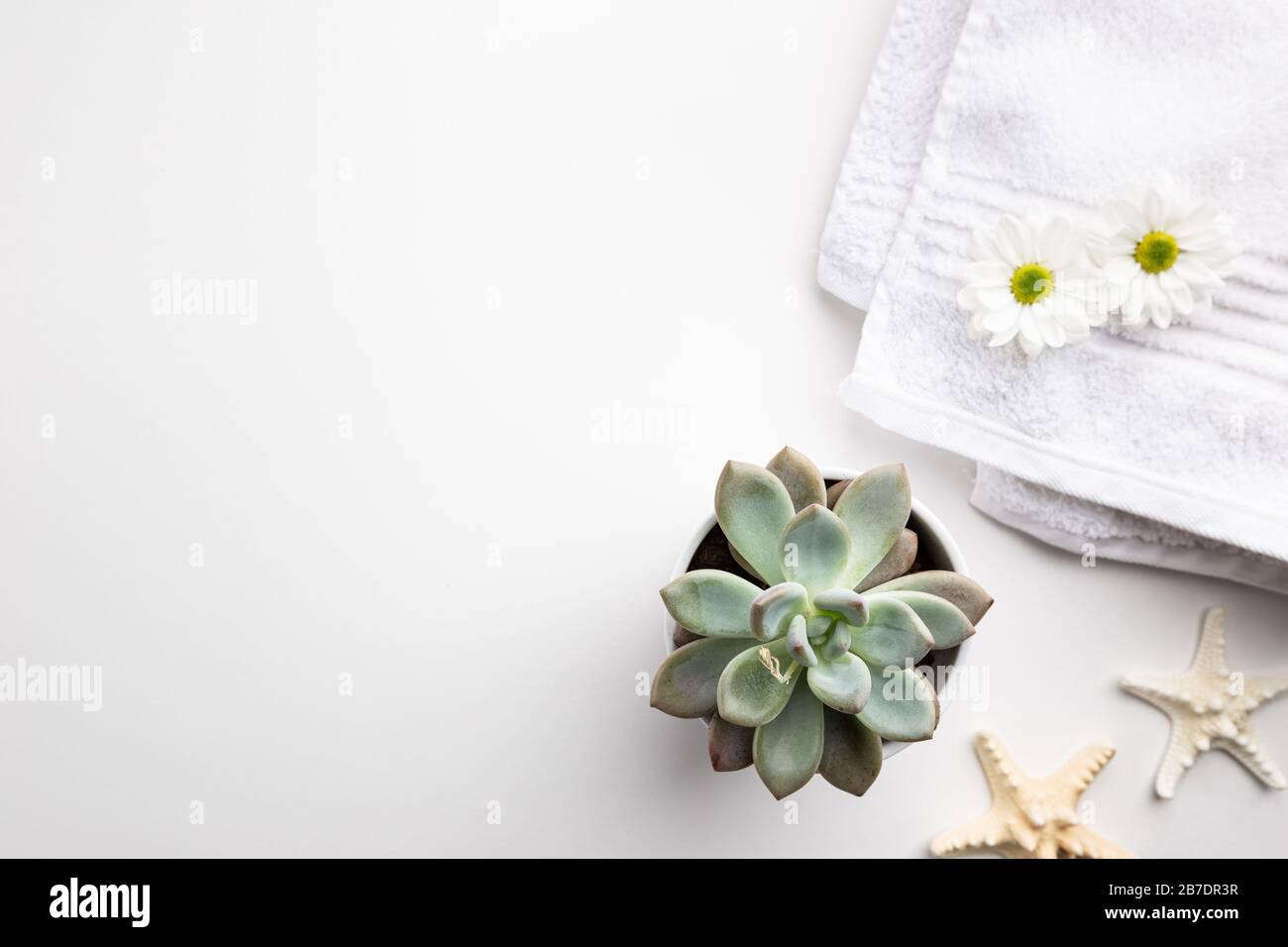 Spa wellness flat lay. Spa towel with flowers, candle and seastares ...