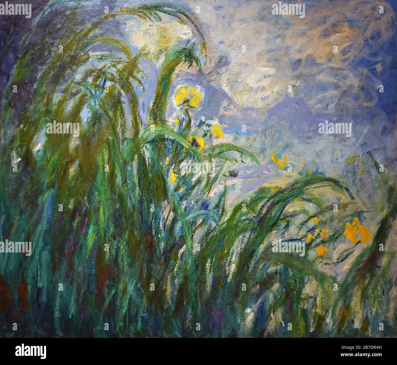 Yellow irises 1924 1925 hi-res stock photography and images - Alamy