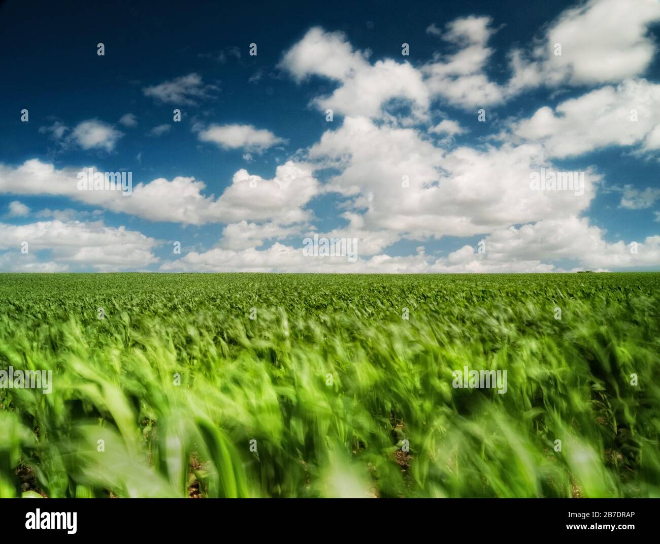 Field barry hi-res stock photography and images - Alamy