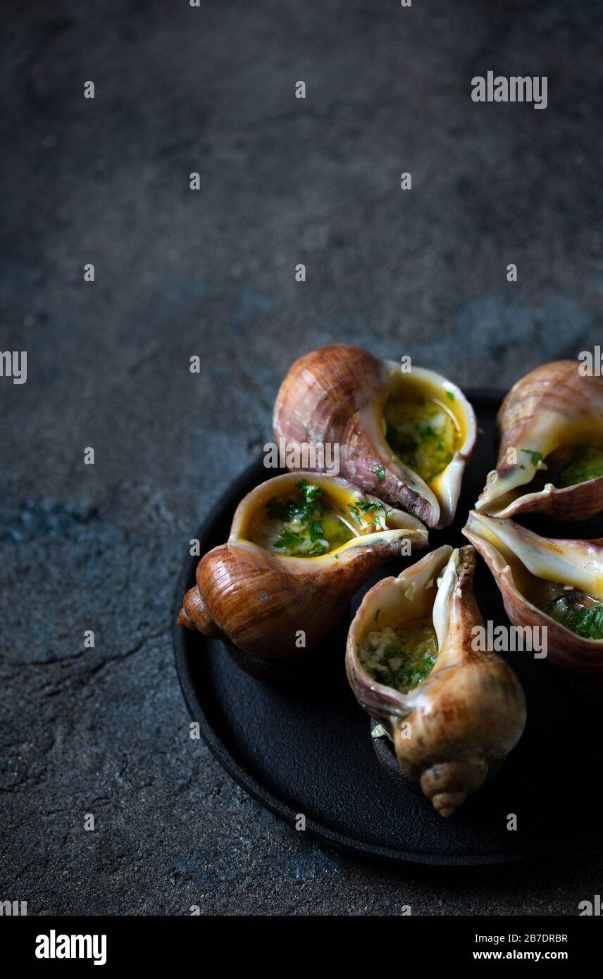 Giant snails escargots baked with butter, garlic and parsley Stock ...