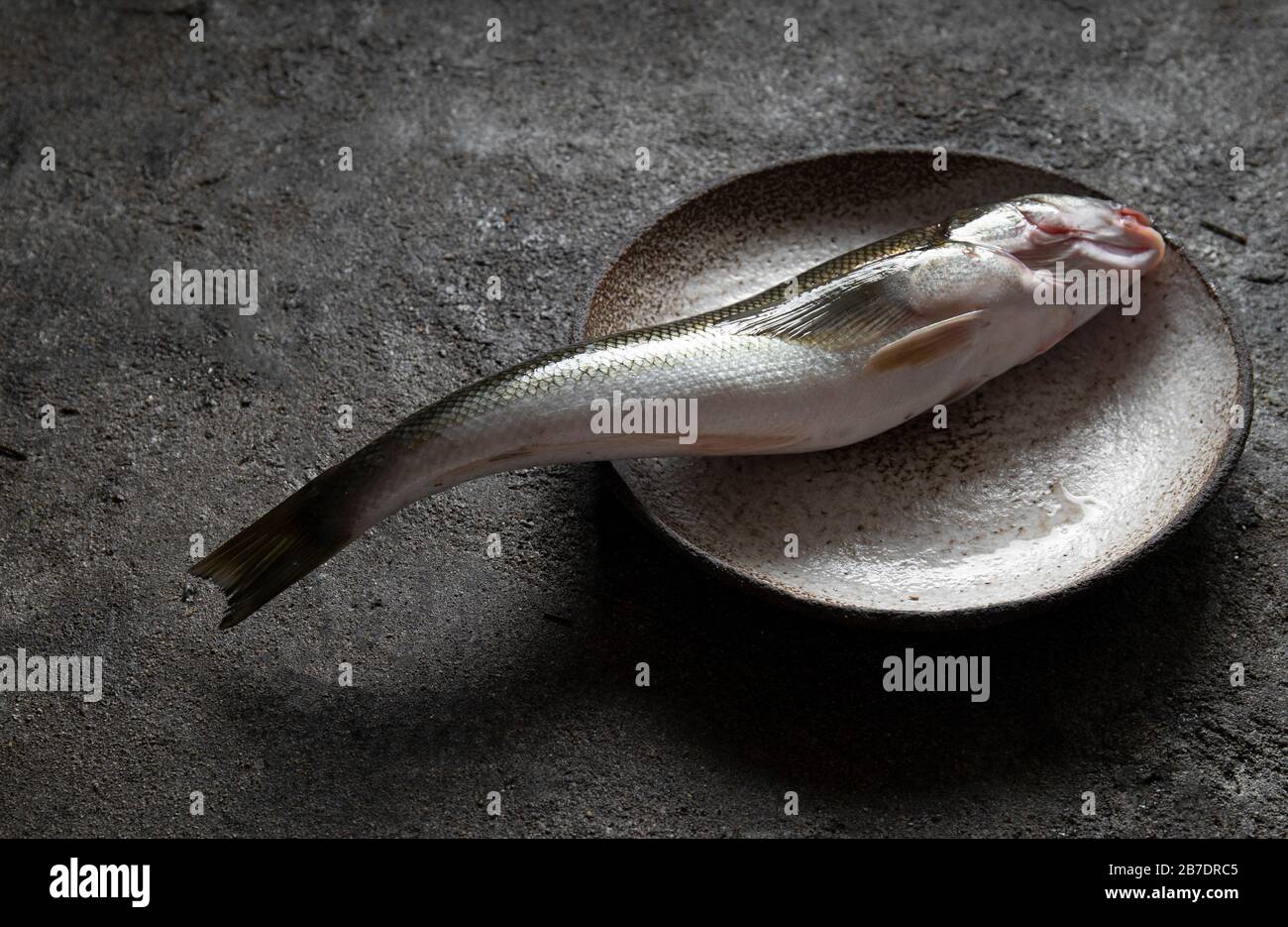 Fresh mackerel seafish hi-res stock photography and images - Alamy