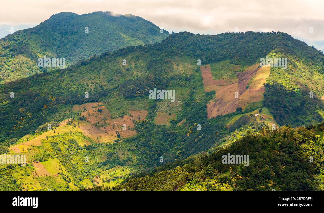 Hillside farming in Guatemala on steep ridges in patchwork shapes Stock ...