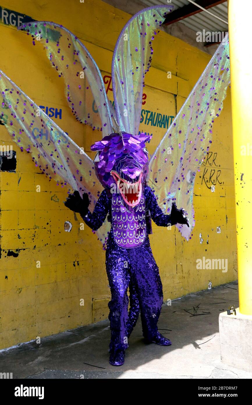 Carnival 2020 – Traditional Characters Parade, Trinidad and Tobago, W.I ...