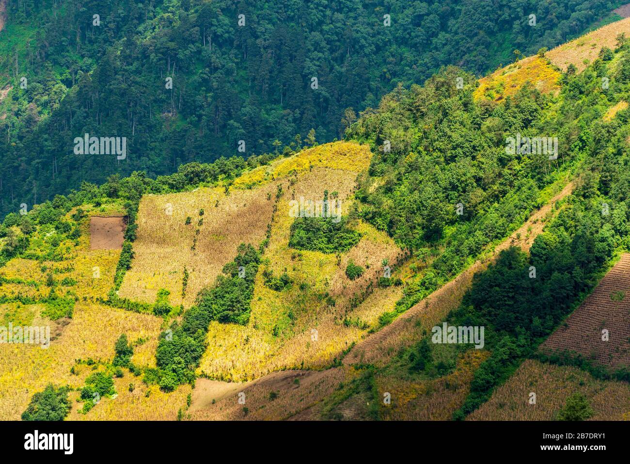 Hillside farming hi-res stock photography and images - Alamy