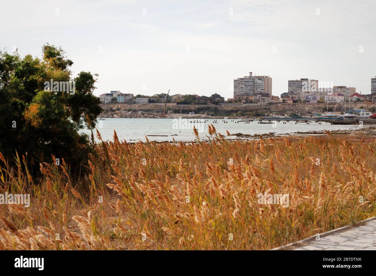 Caspian sea beach hi-res stock photography and images - Alamy