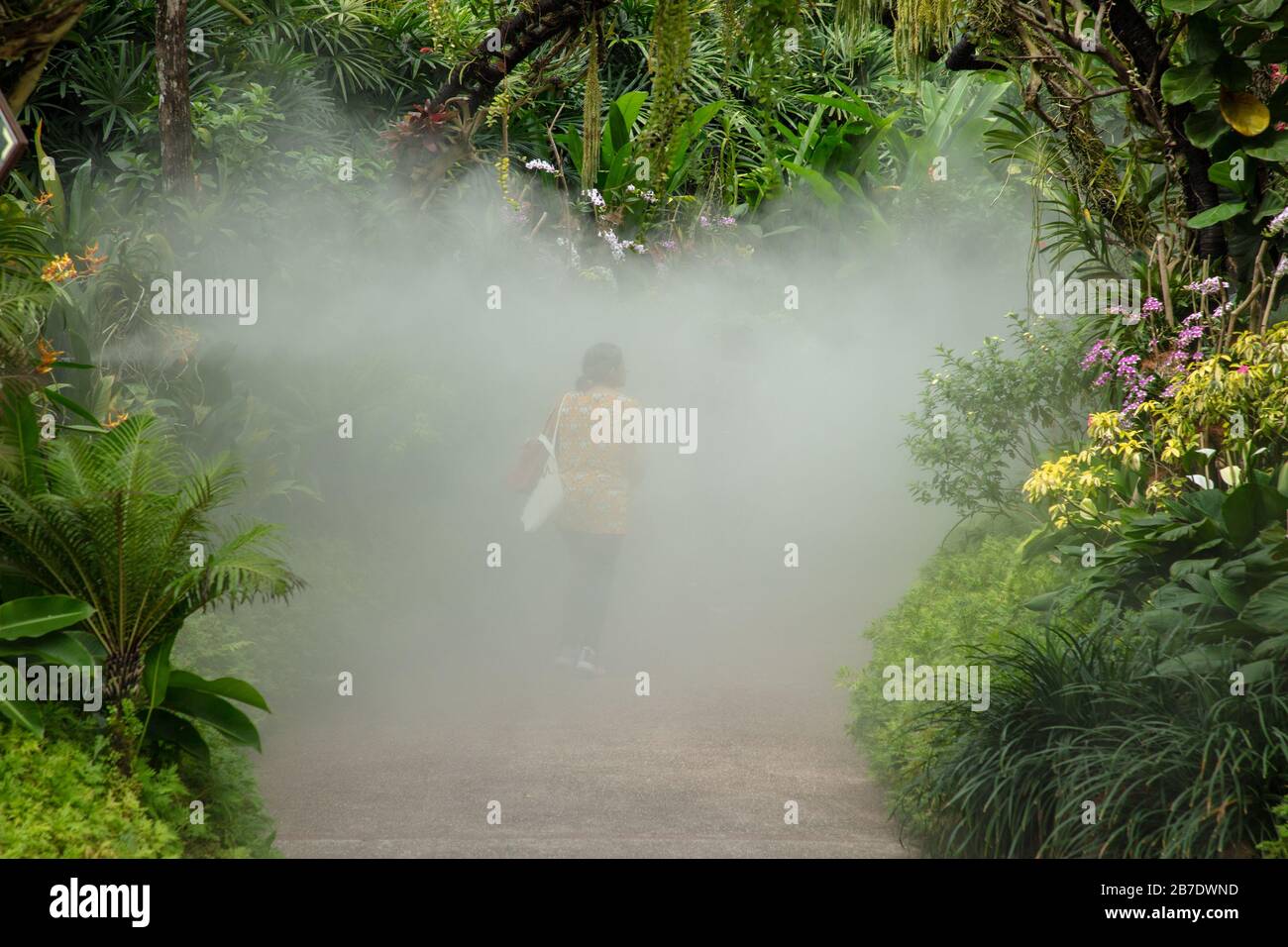 Singapore botanical gardens mist garden hi-res stock photography and ...