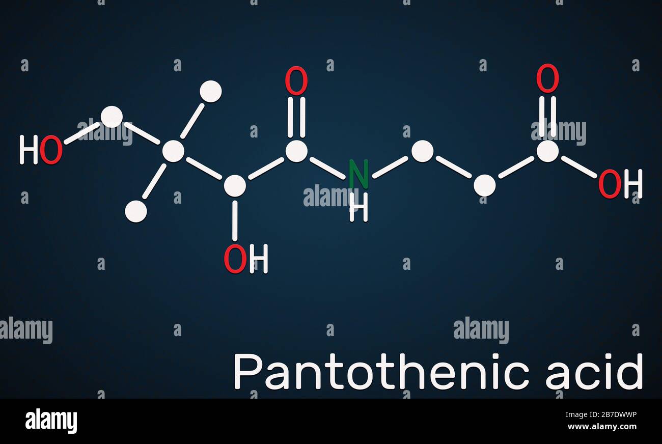 Pantothenic acid, vitamin B5, pantothenate molecule. Structural ...
