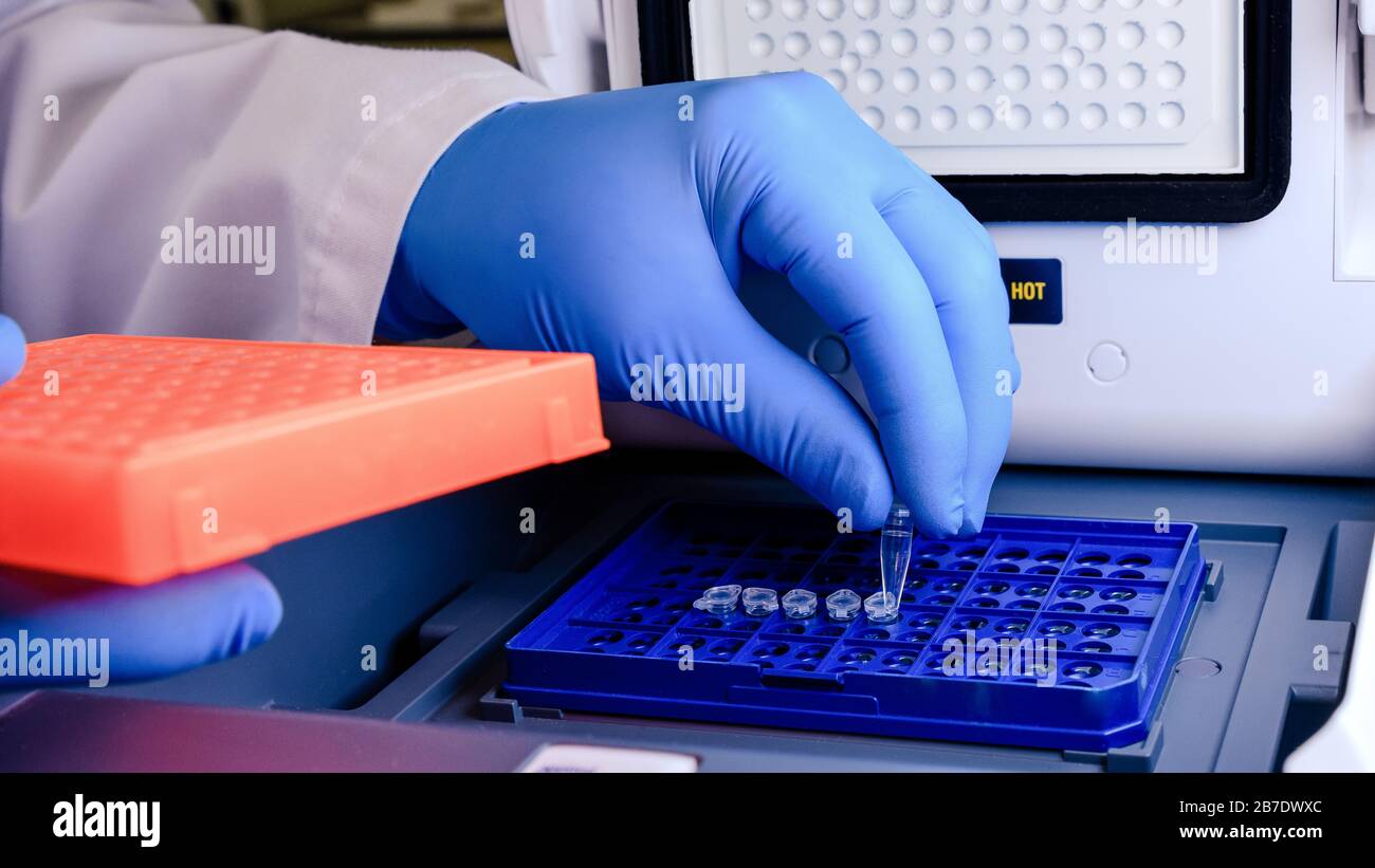 Polymerase chain reaction (pcr) test hi-res stock photography and ...