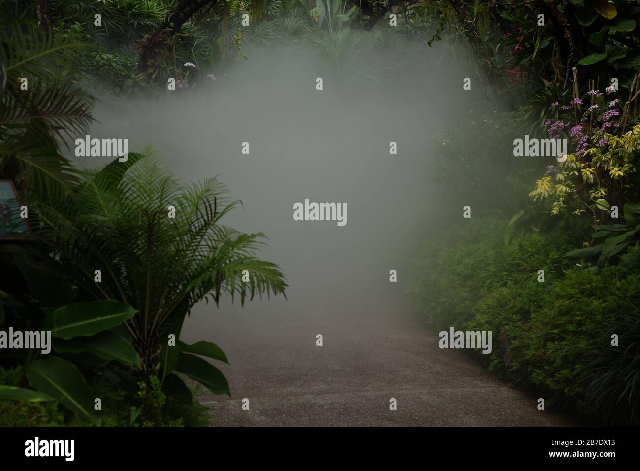 Singapore botanical gardens mist garden hi-res stock photography and ...
