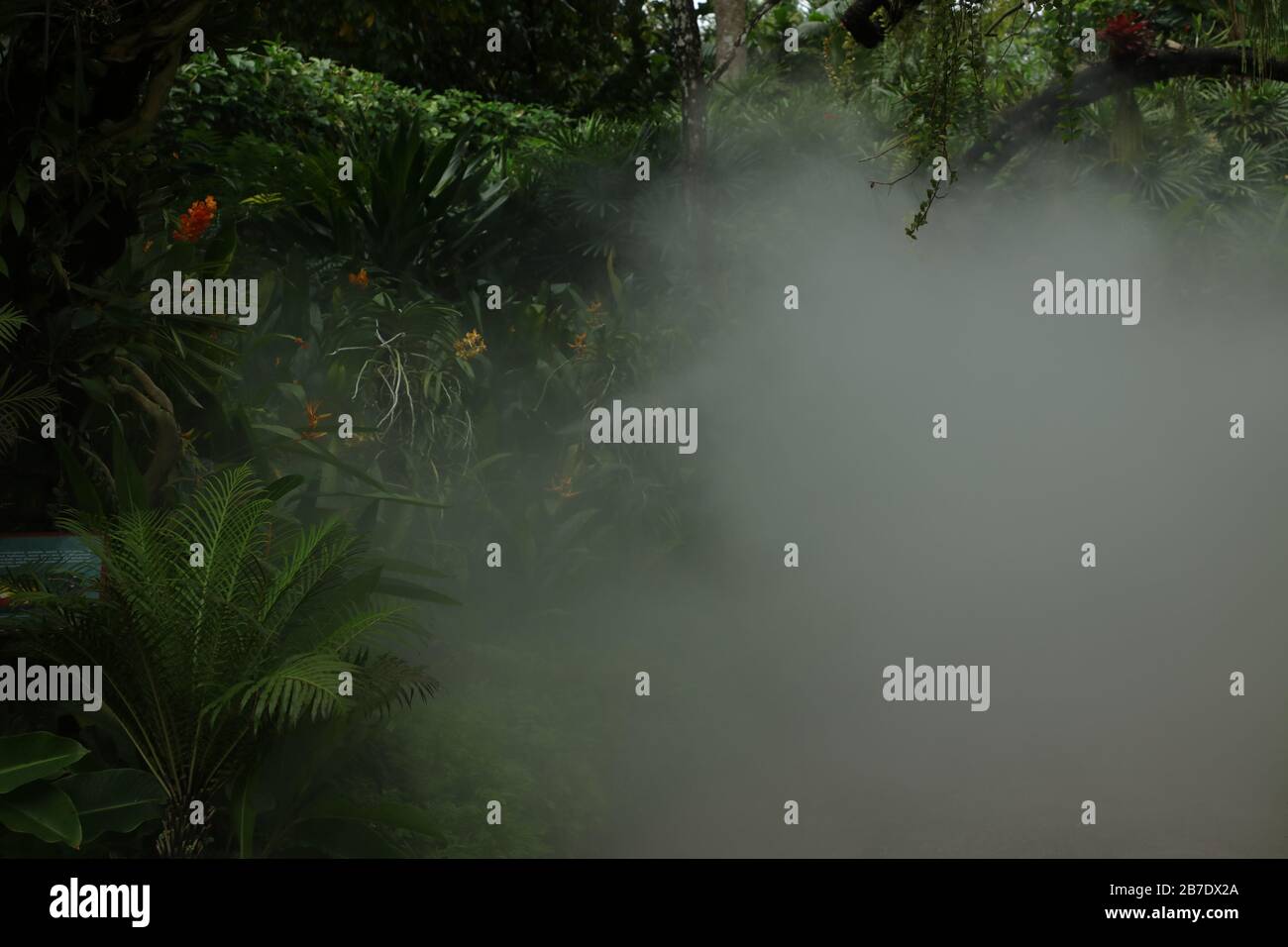 Artificial mist seen in the Singapore orchid garden Stock Photo - Alamy
