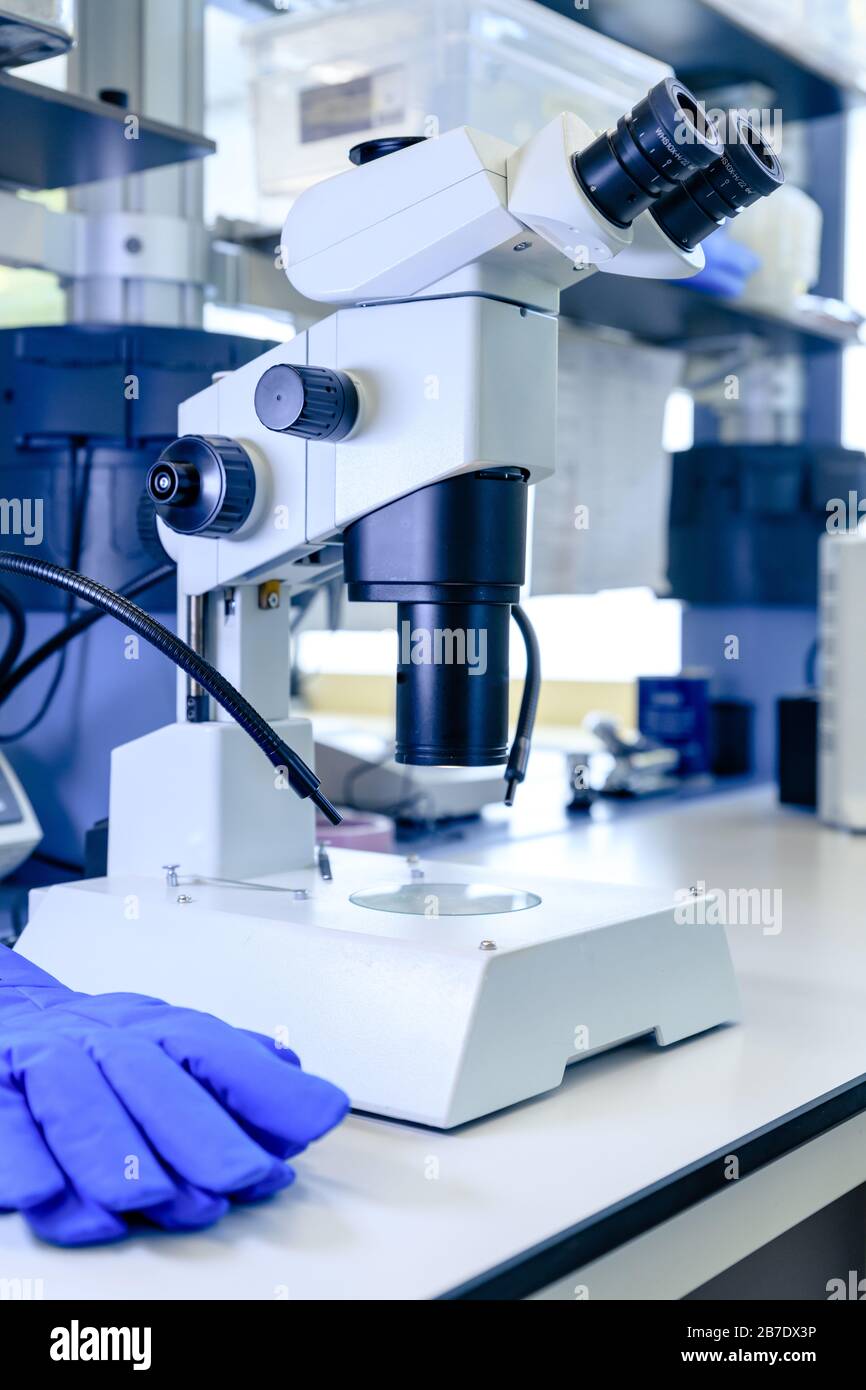 Stereomicroscope hi-res stock photography and images - Alamy