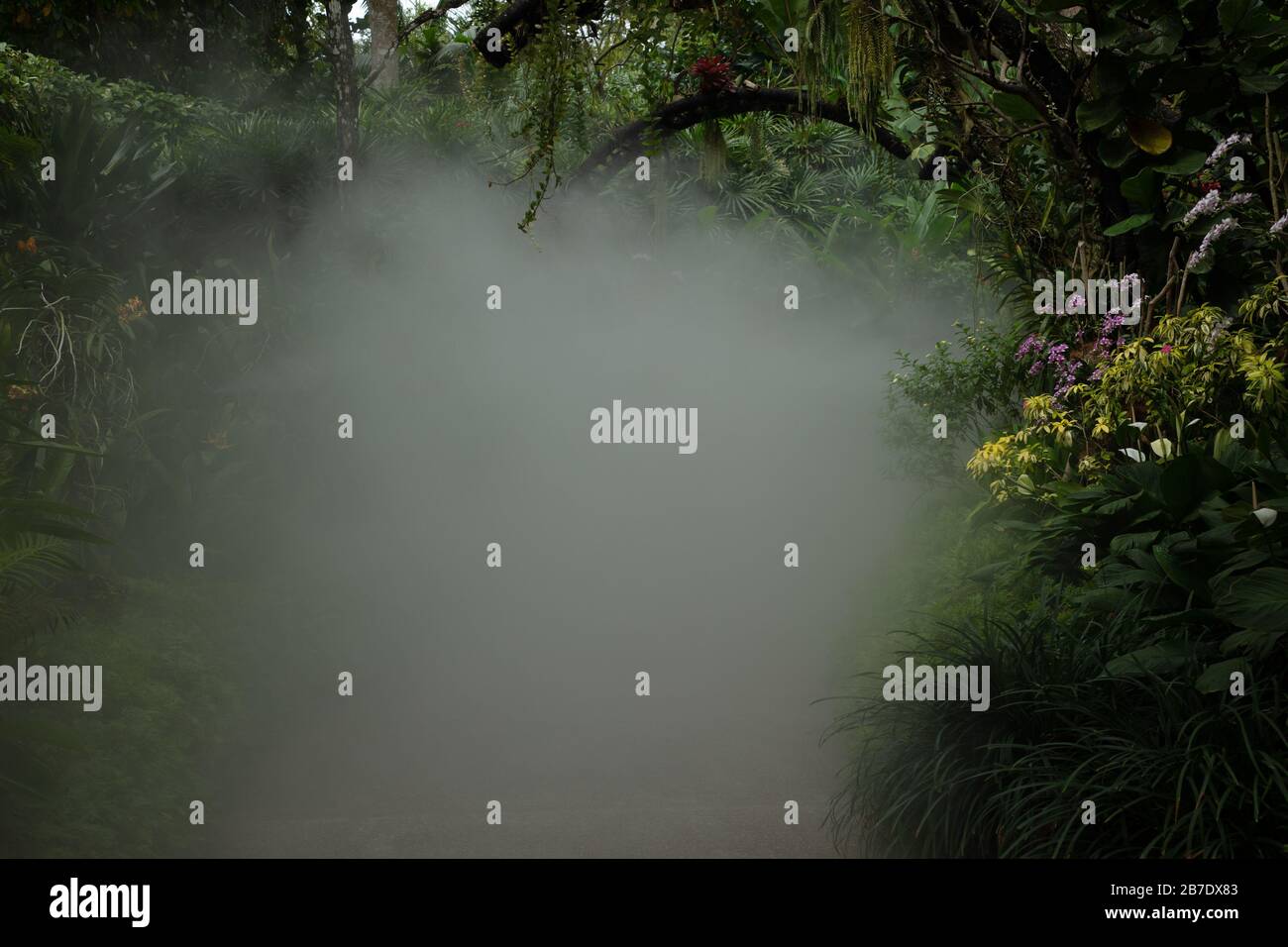 Artificial mist seen in the Singapore orchid garden Stock Photo - Alamy