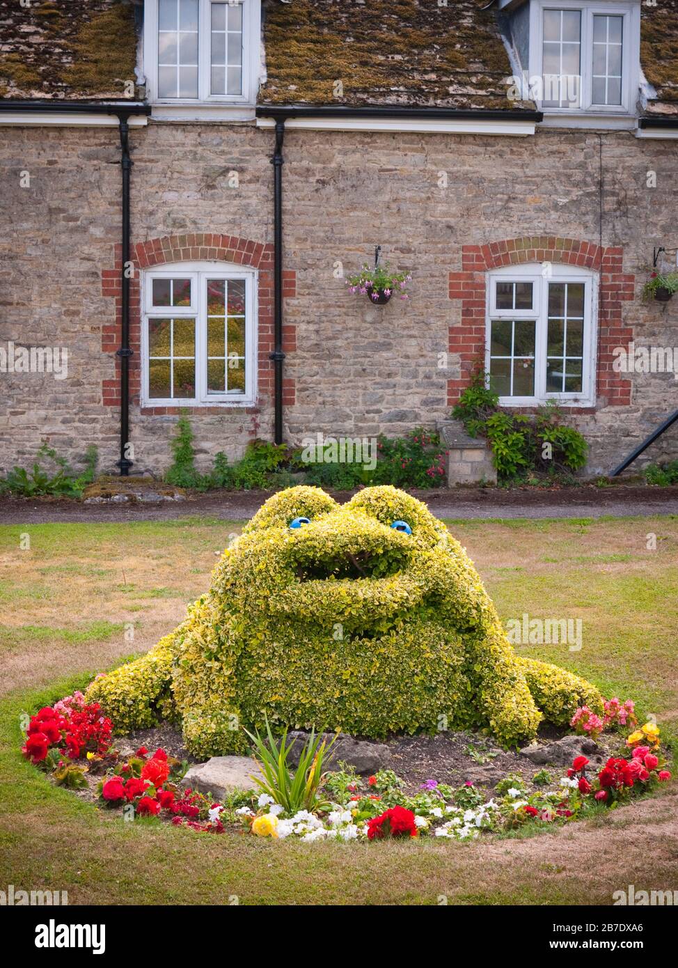Frog trimmed into shrub beside the lock on the River Thames ...