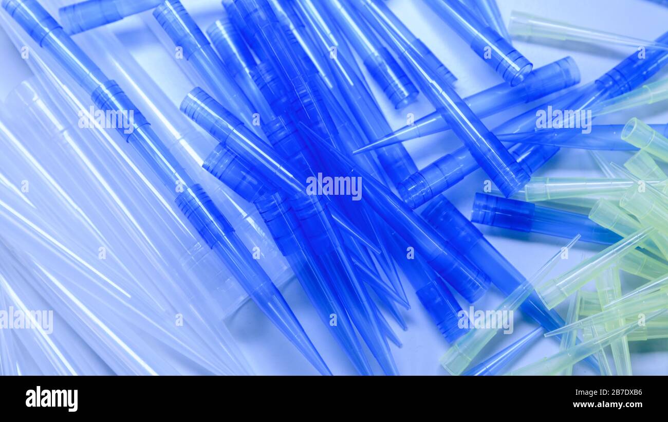 Blue and yellow universal laboratory pipet tips. Laboratory and science ...
