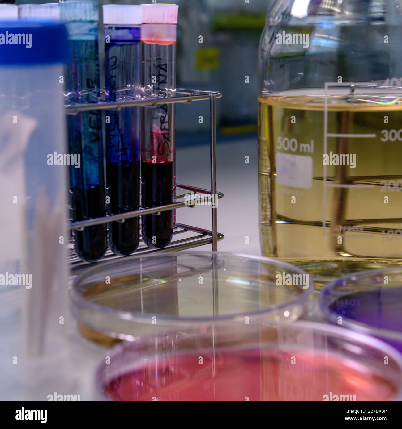 Petri dishes, test tubes and laboratory equipment, with coloring ...