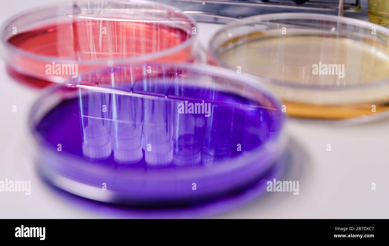 Petri dishes, test tubes and laboratory equipment, with coloring ...
