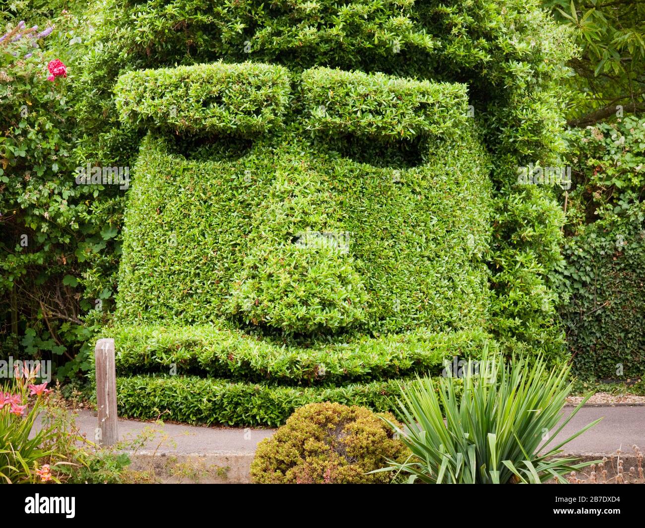 Topiary head trimmed into shrub the shape of an Easter Island face ...