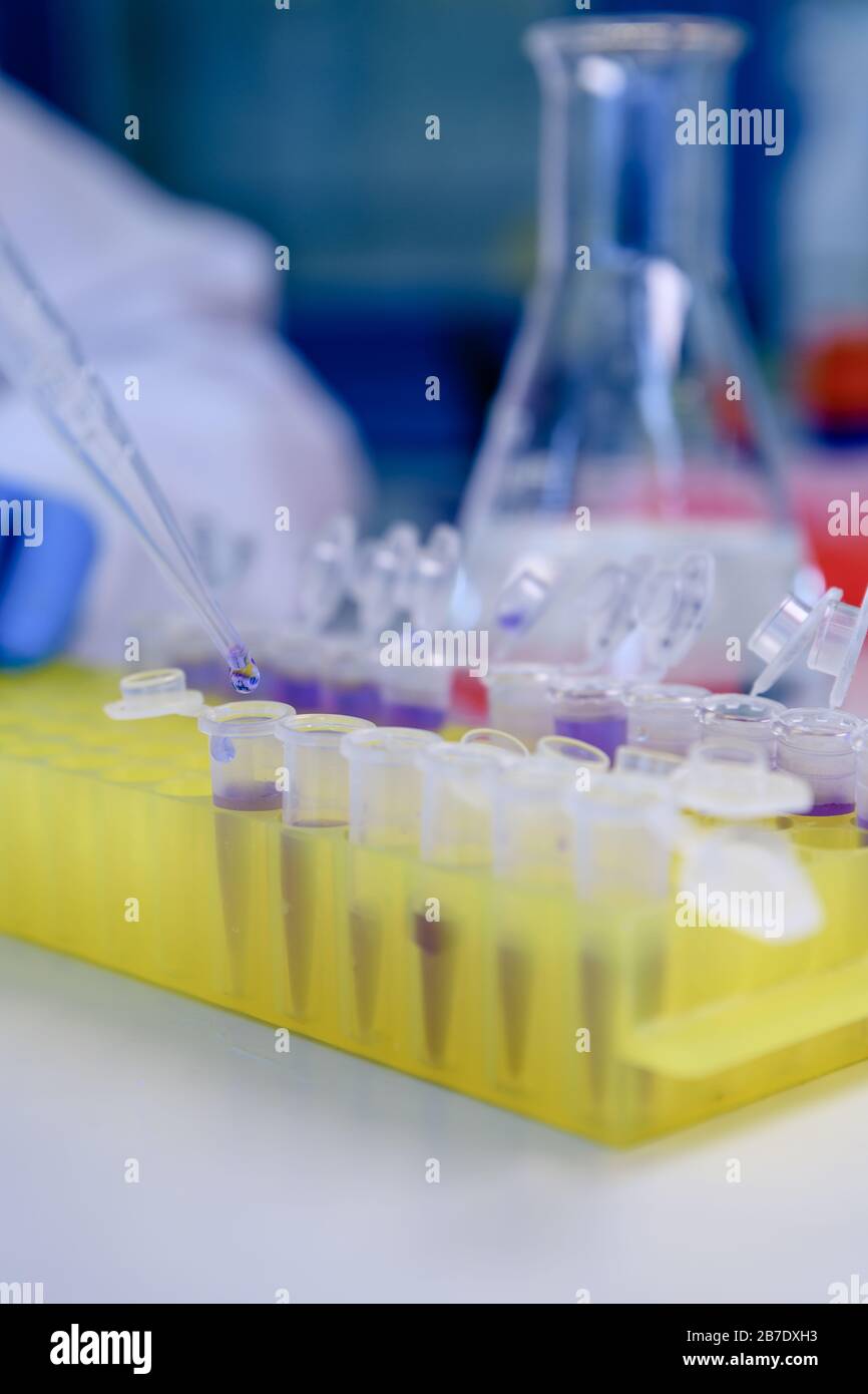 Laboratory Studies High Resolution Stock Photography and Images - Alamy