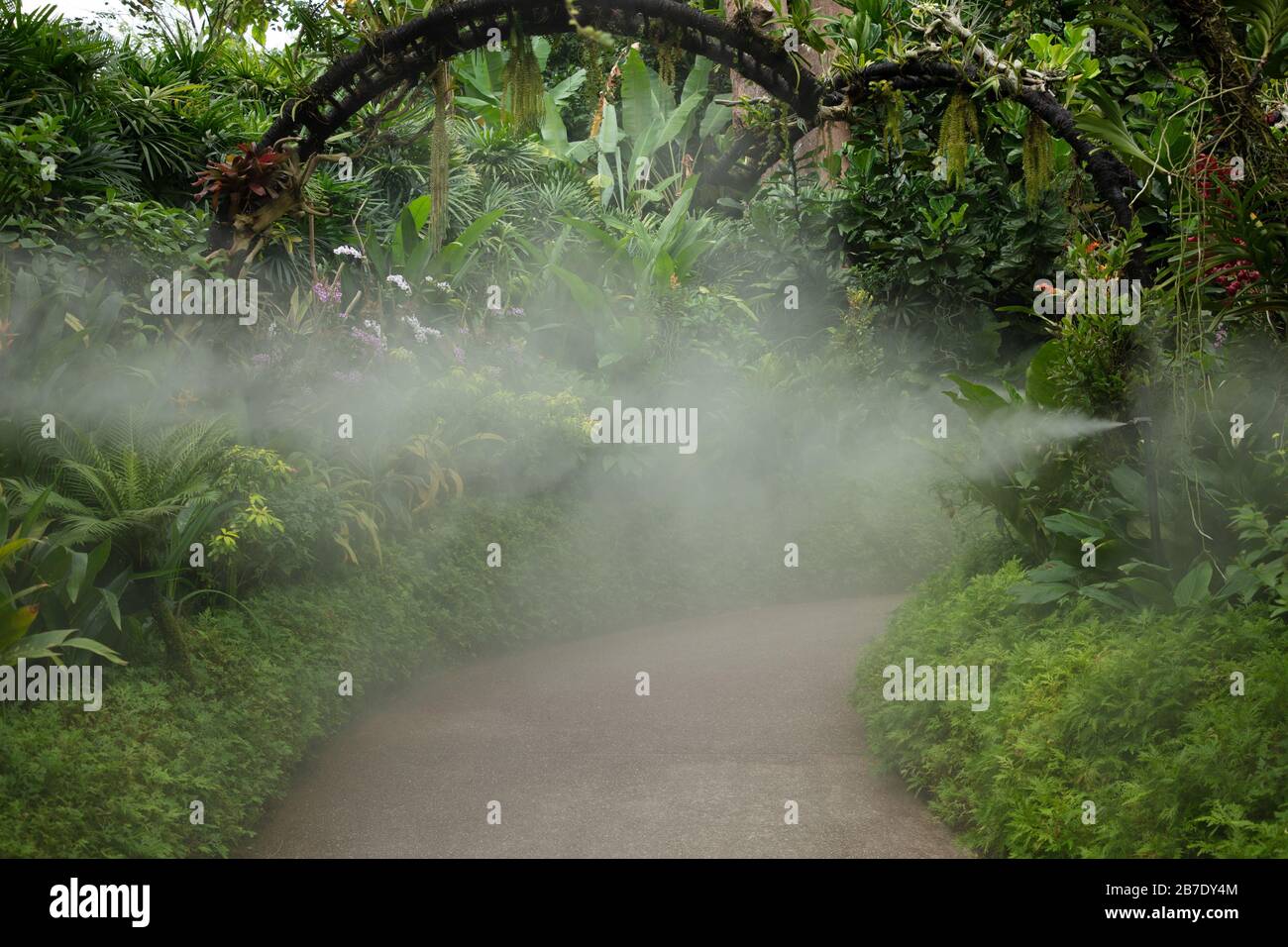 Singapore botanical gardens mist garden hi-res stock photography and ...