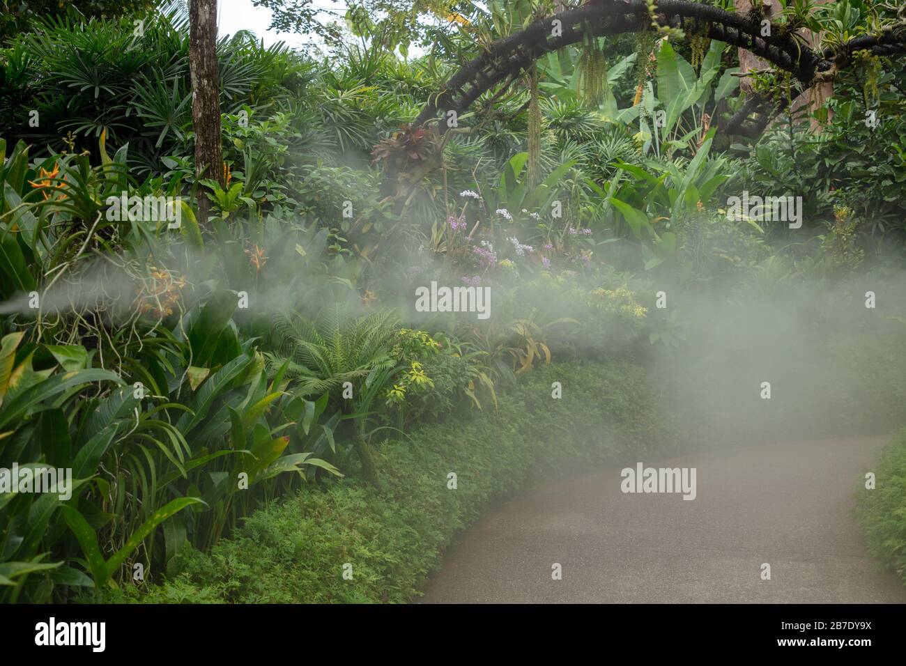 Singapore botanical gardens mist garden hi-res stock photography and ...